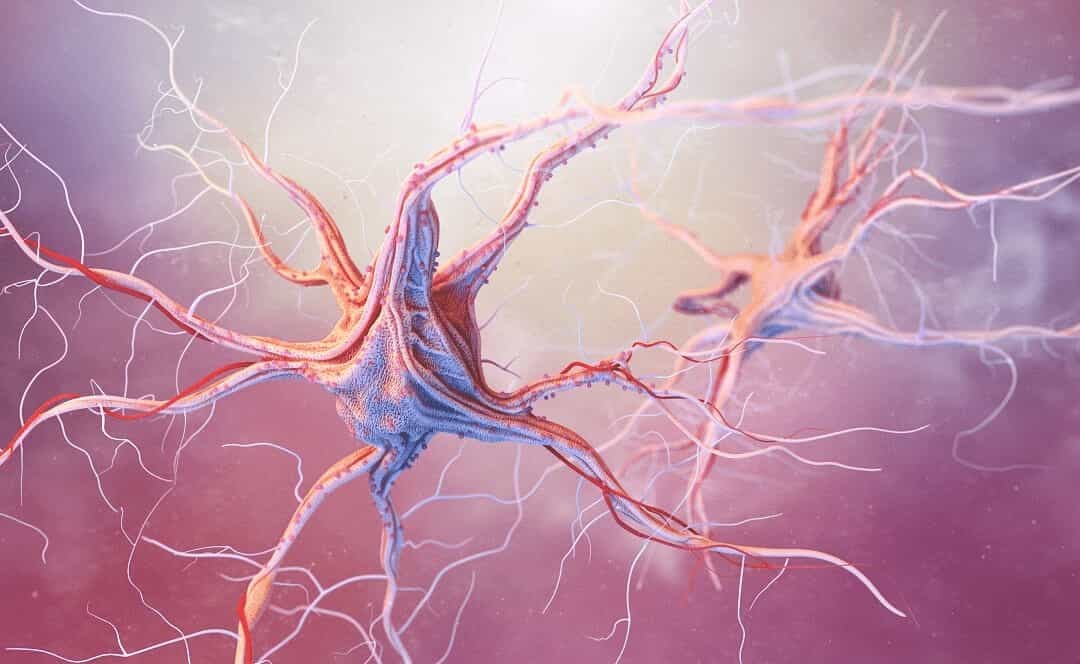 Understanding Paralysis: Causes, Types, Symptoms & Treatments